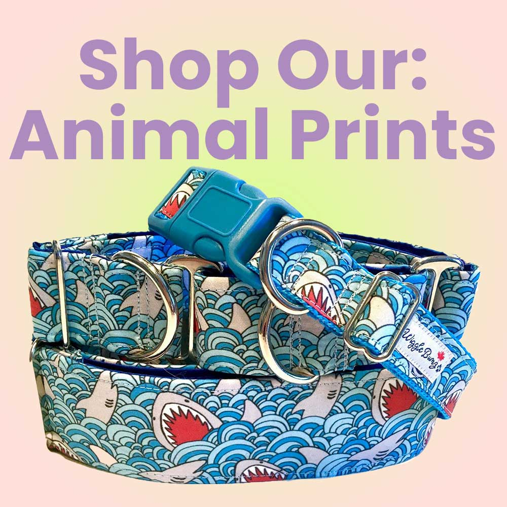 Animal Themed Dog Collars | BigPawShop.ca