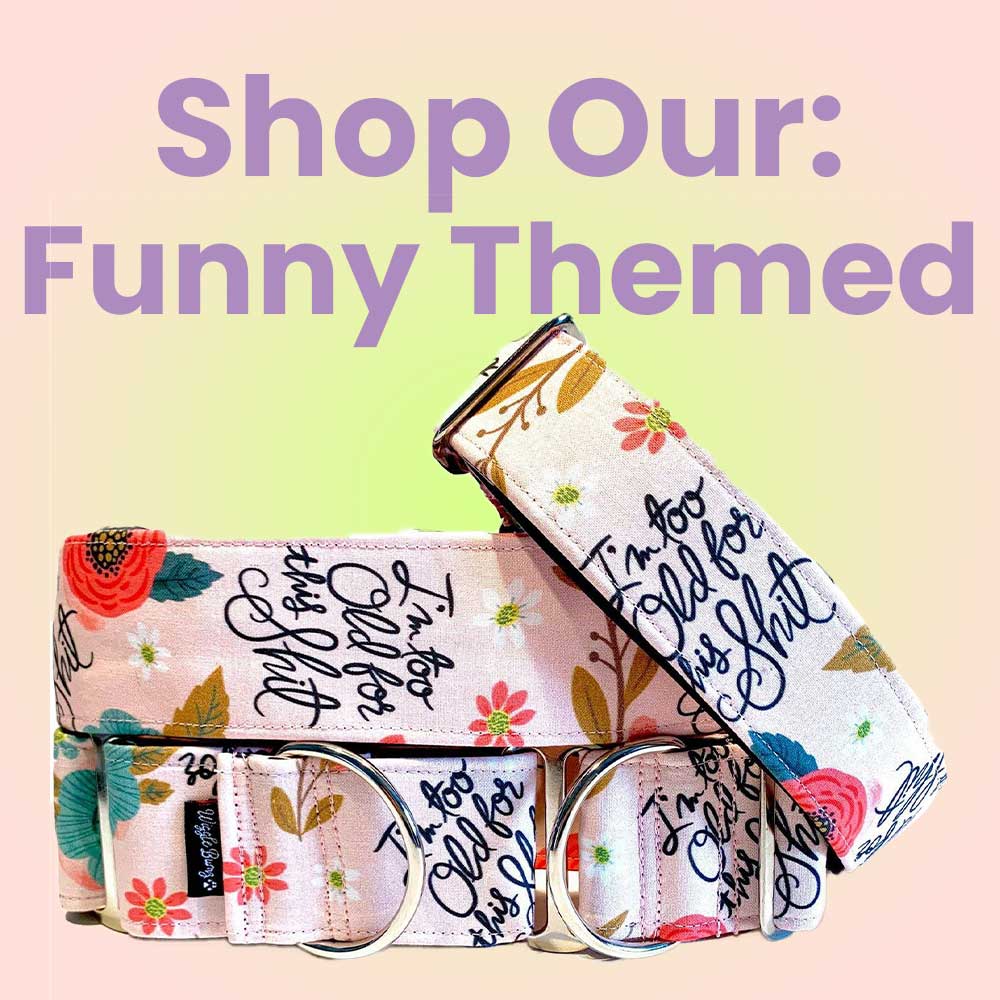 Funny Dog Collars – BigPawShop